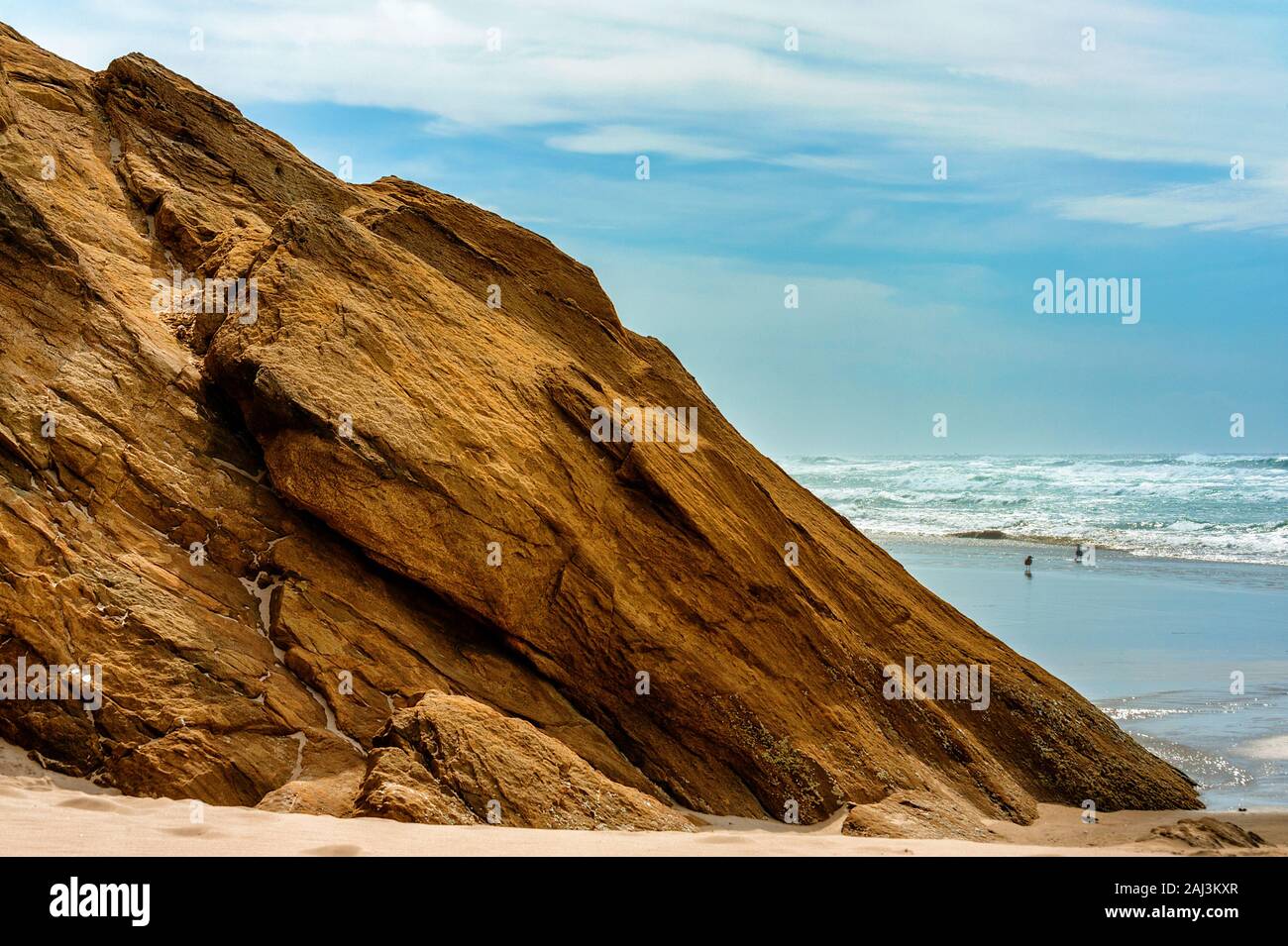 Intertidal rocks exposed at low tide along the coast of Oregon in the ...