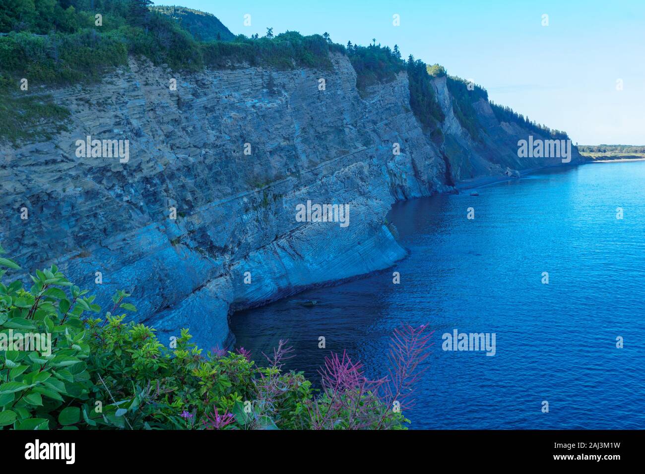 Landscape of cliffs and ocean in Cap-Bon-Ami, in the north sector of ...