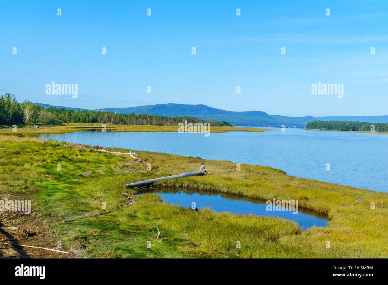 Canadian Wilderness L Shaped Lake