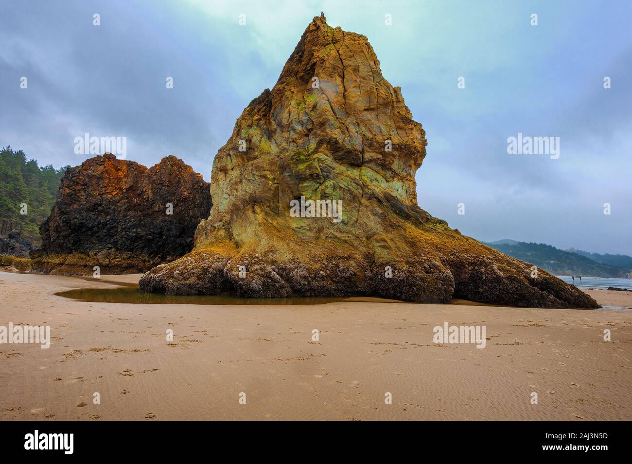 At low tide these giant intertidal rocks expose barnacles and other ...