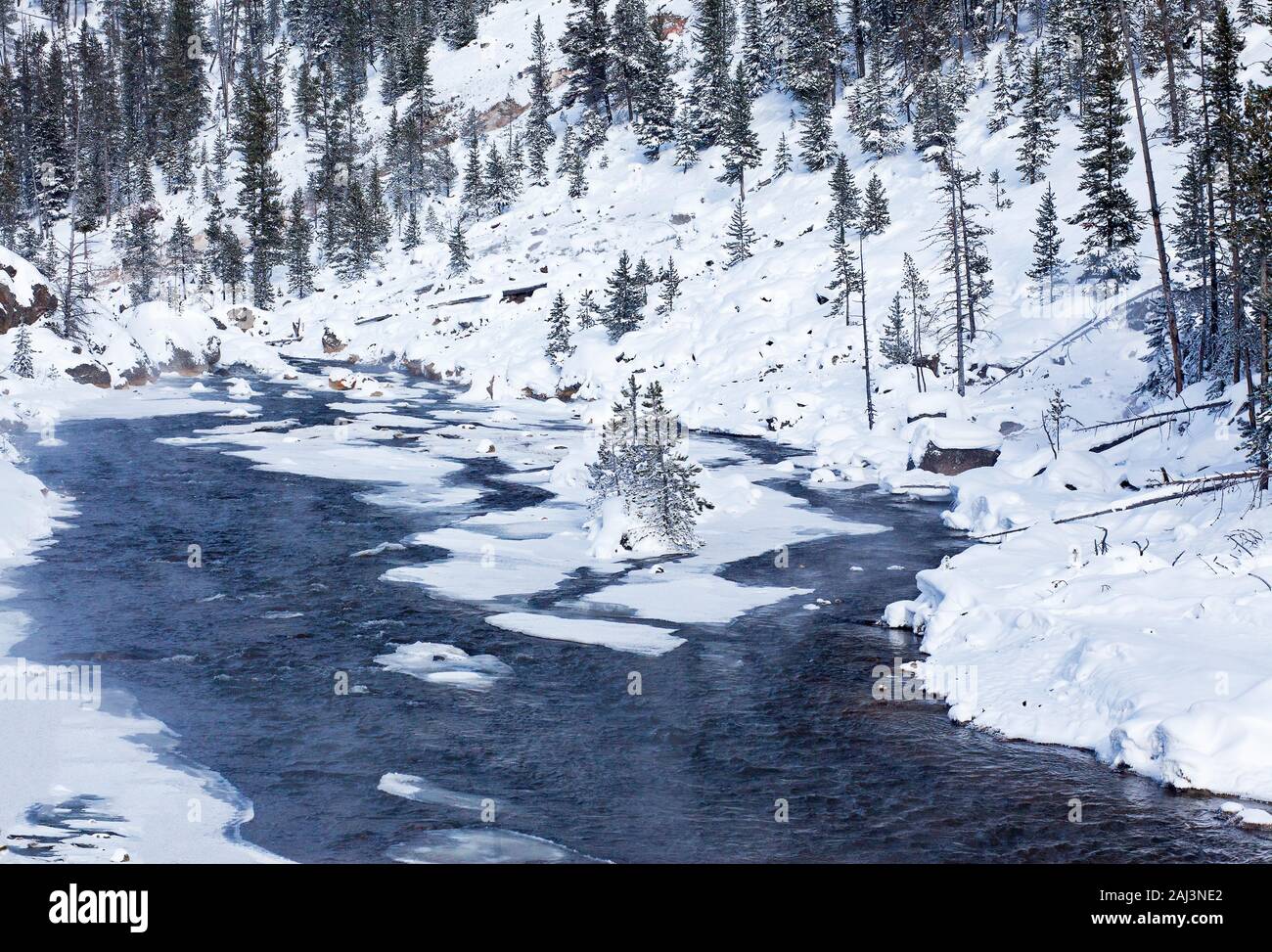Snowfall at the gibbon river hi-res stock photography and images - Alamy