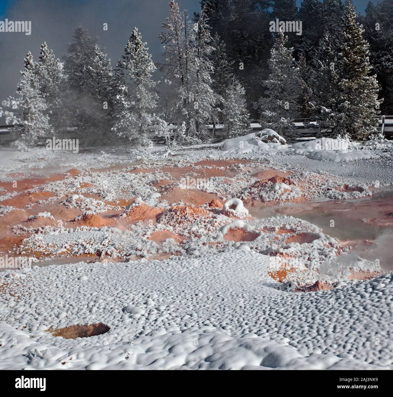 Fountain Paint Pots, Gibbon Geyser basin, Yellowstone National Park ...