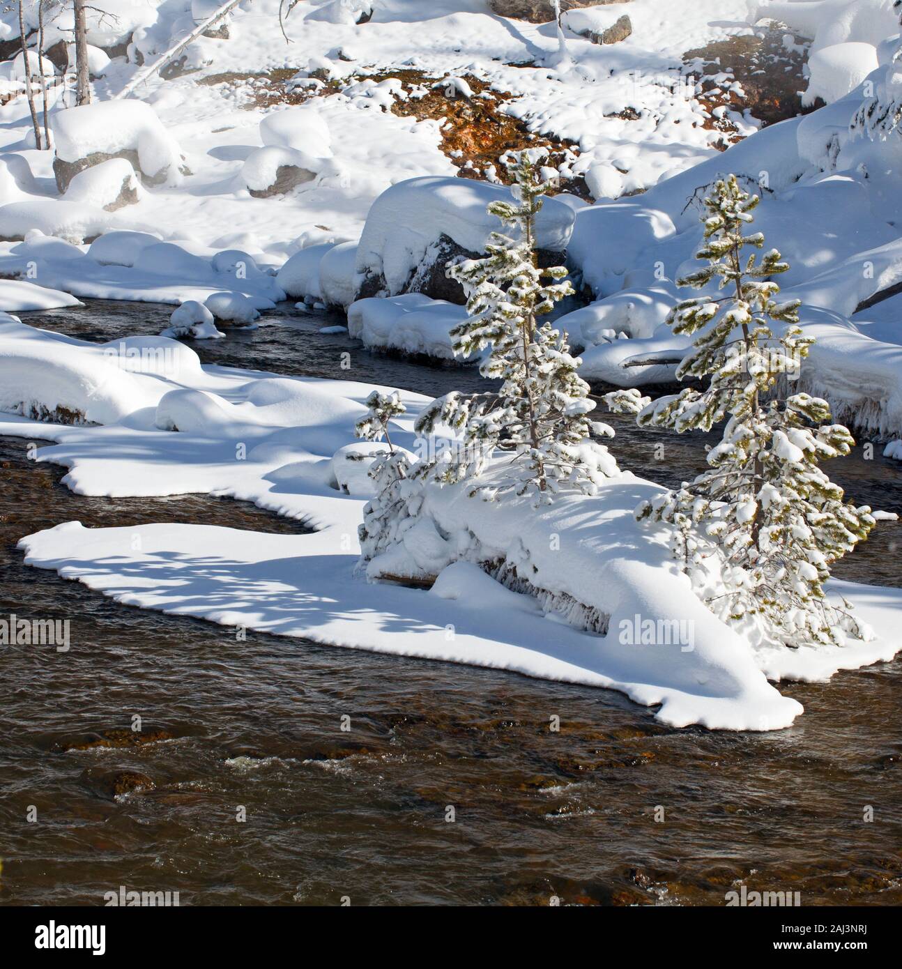 The Madison river after a heavy snowfall, Yellowstone National Park ...