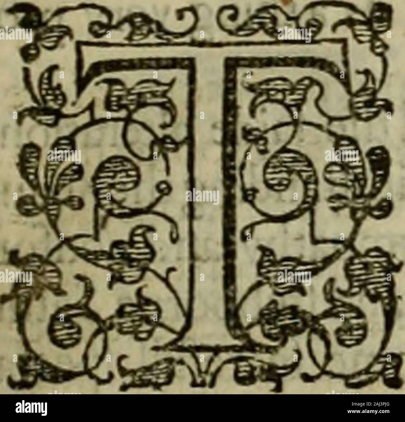 Gestt hi-res stock photography and images - Alamy