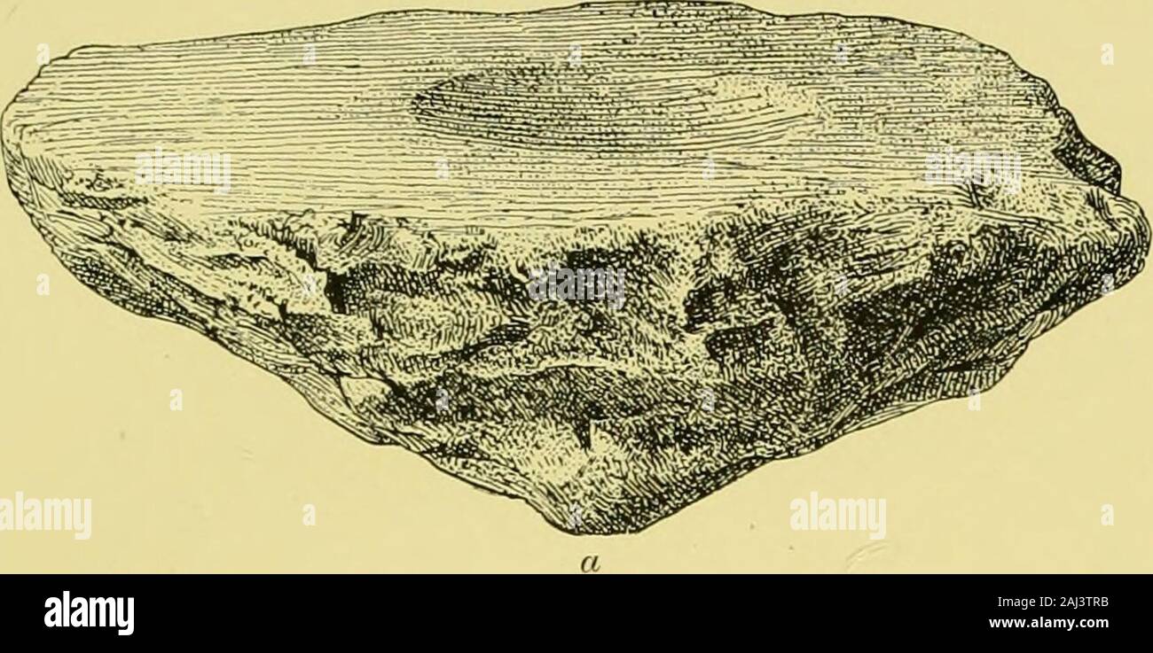 Ospect hi-res stock photography and images - Alamy