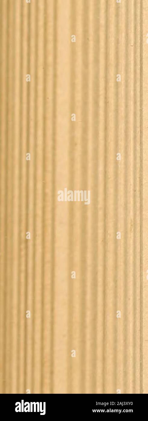 Oip hi-res stock photography and images - Alamy