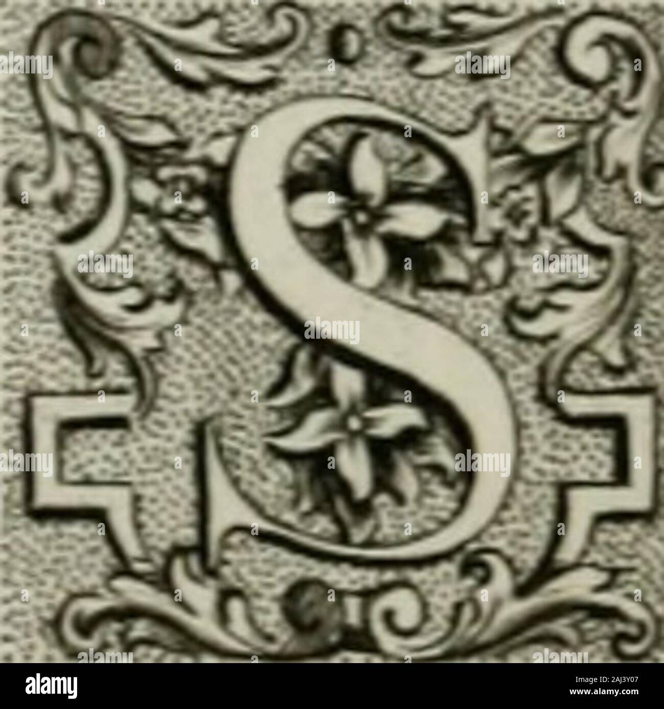 Cantabrum hi-res stock photography and images - Alamy