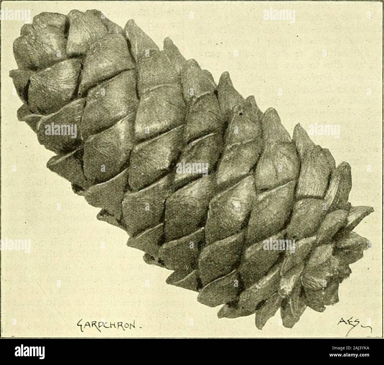 Mining in the forest of dean hi-res stock photography and images - Alamy