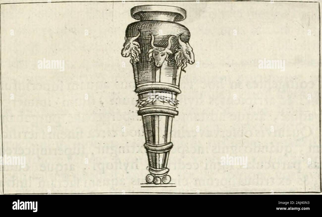 Populus romanus hi-res stock photography and images - Alamy