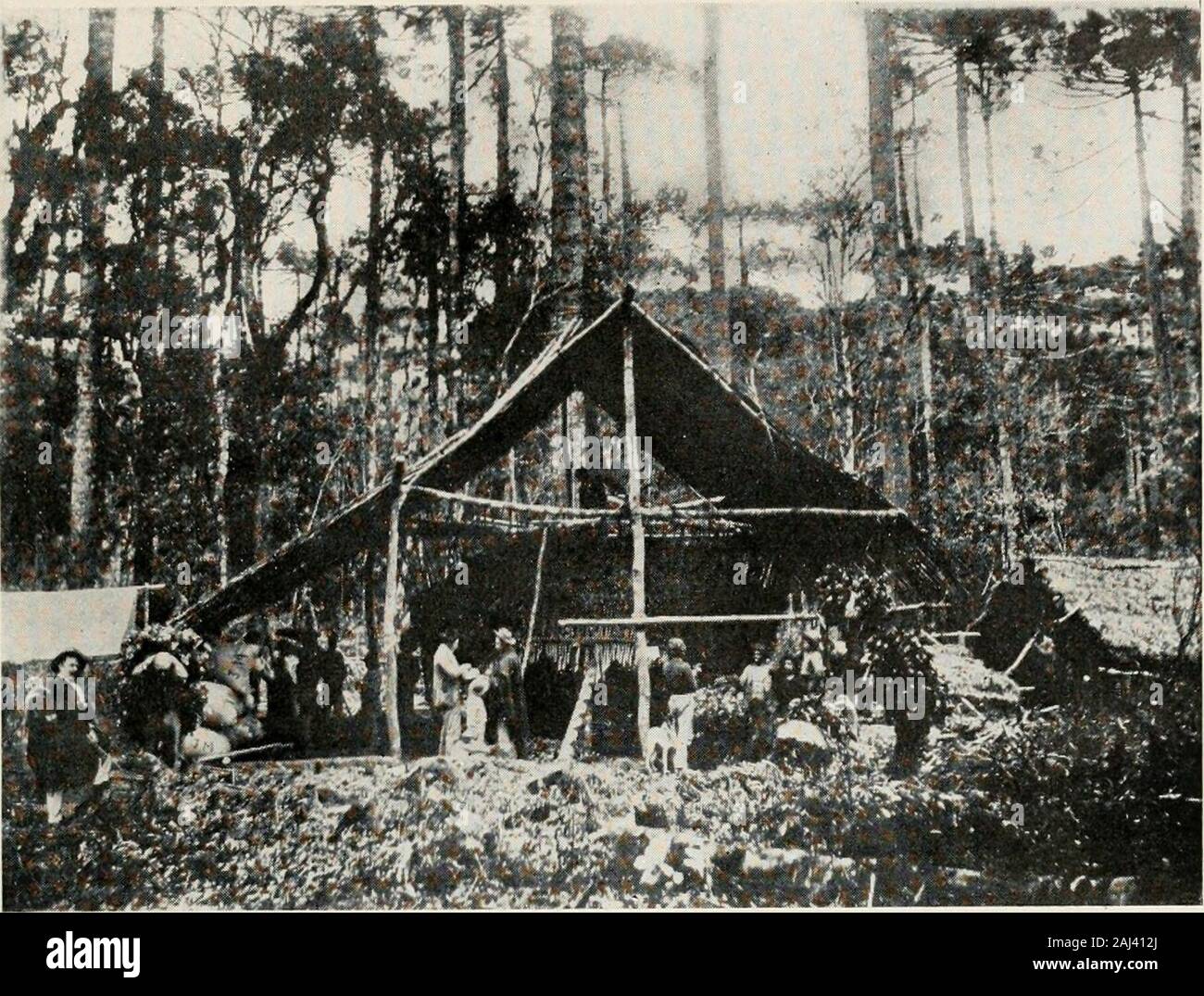 Ptomaine poisoning hi-res stock photography and images - Alamy