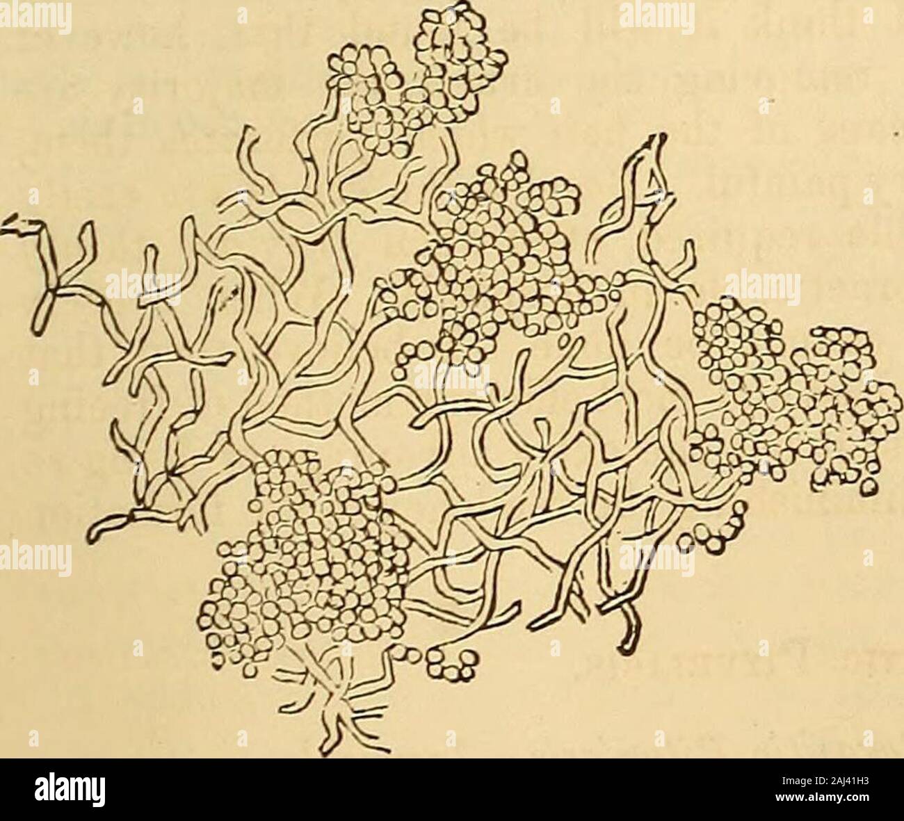 Clinical lectures on the principles and practice of medicine . n this ...