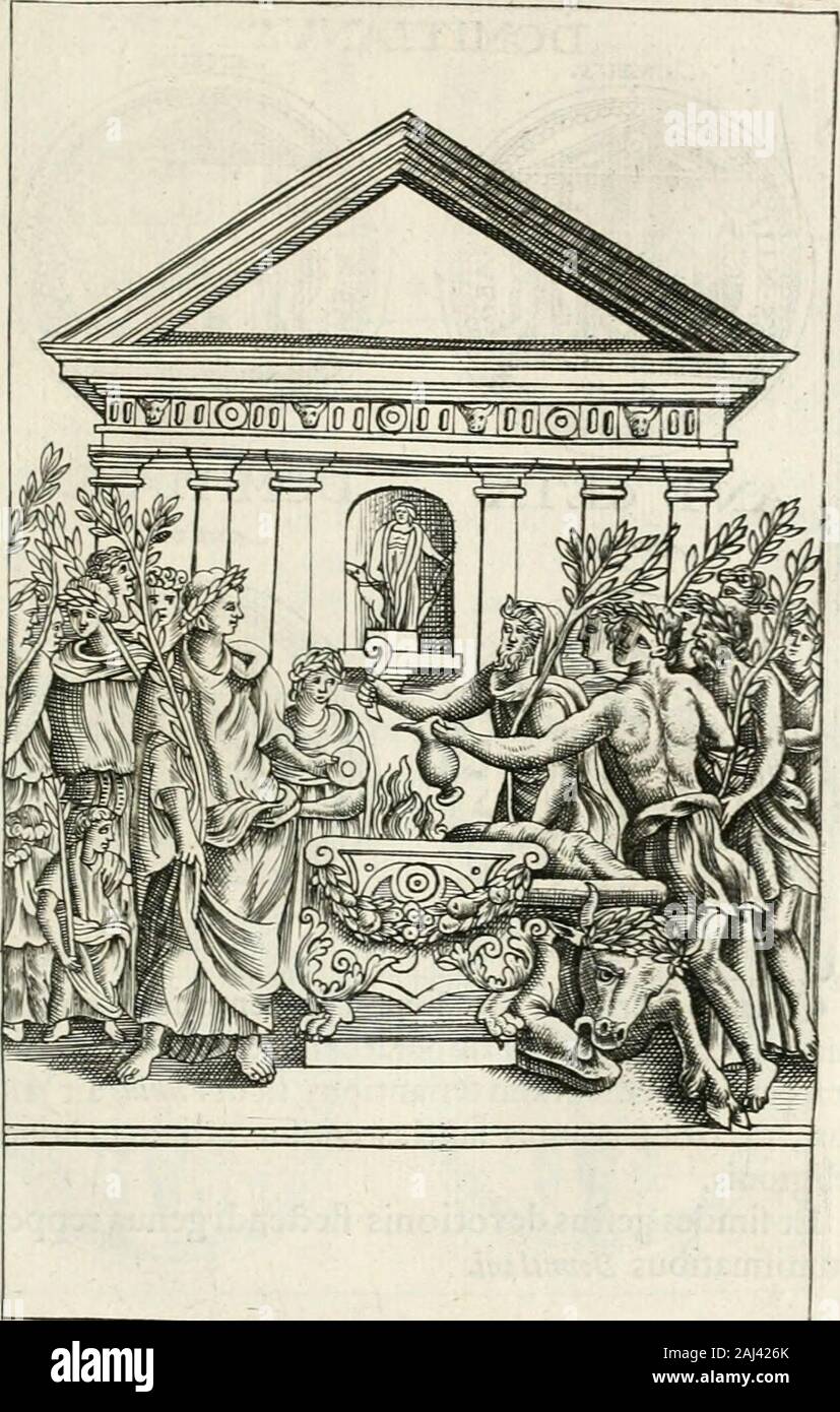 Ludorum High Resolution Stock Photography and Images - Alamy