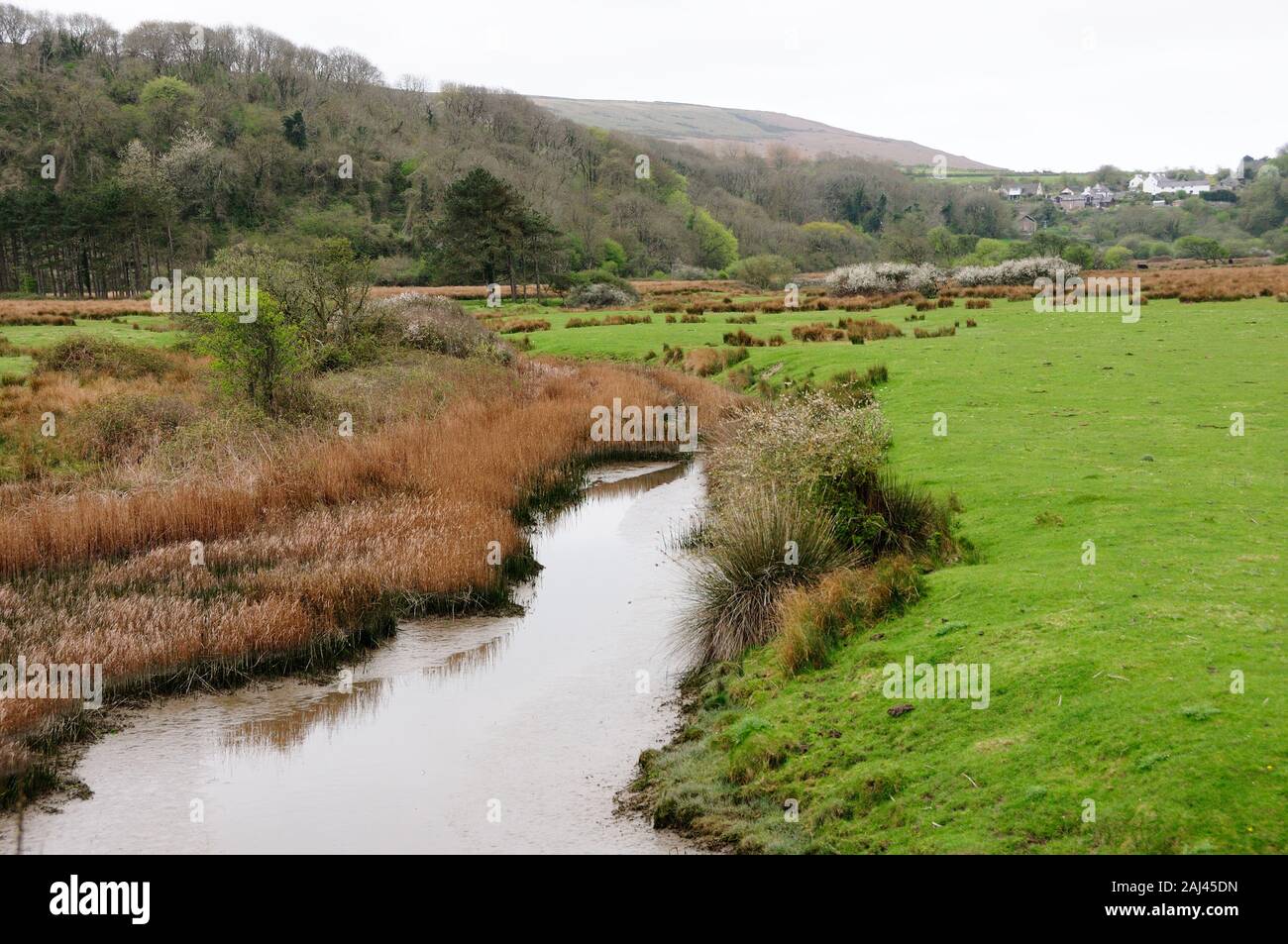 Exploring stream moss hi-res stock photography and images - Alamy
