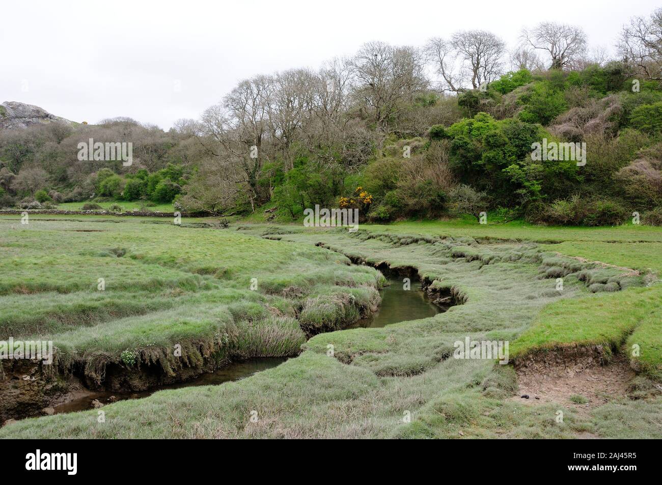 Landimore marsh hi-res stock photography and images - Alamy