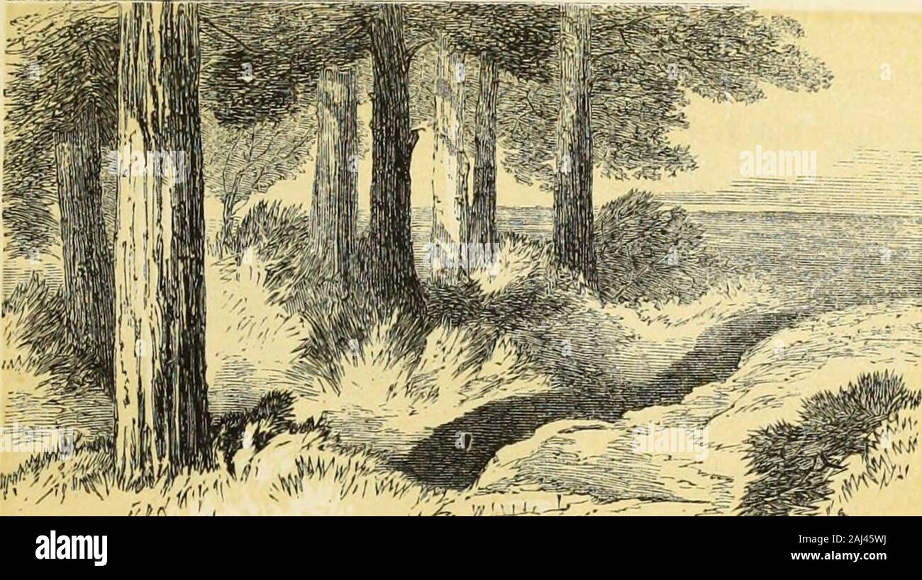 Chiaroscuro drawings hi-res stock photography and images - Alamy