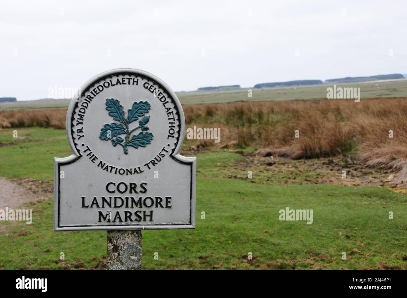 Cors Landimore Marsh in Wales Stock Photo - Alamy