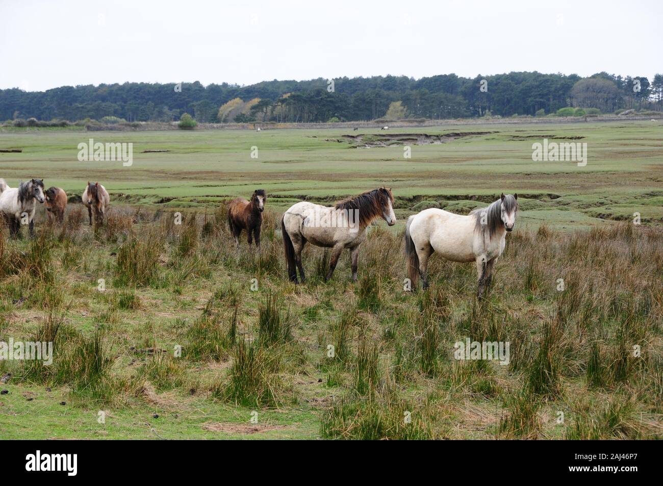 Landimore hi-res stock photography and images - Alamy