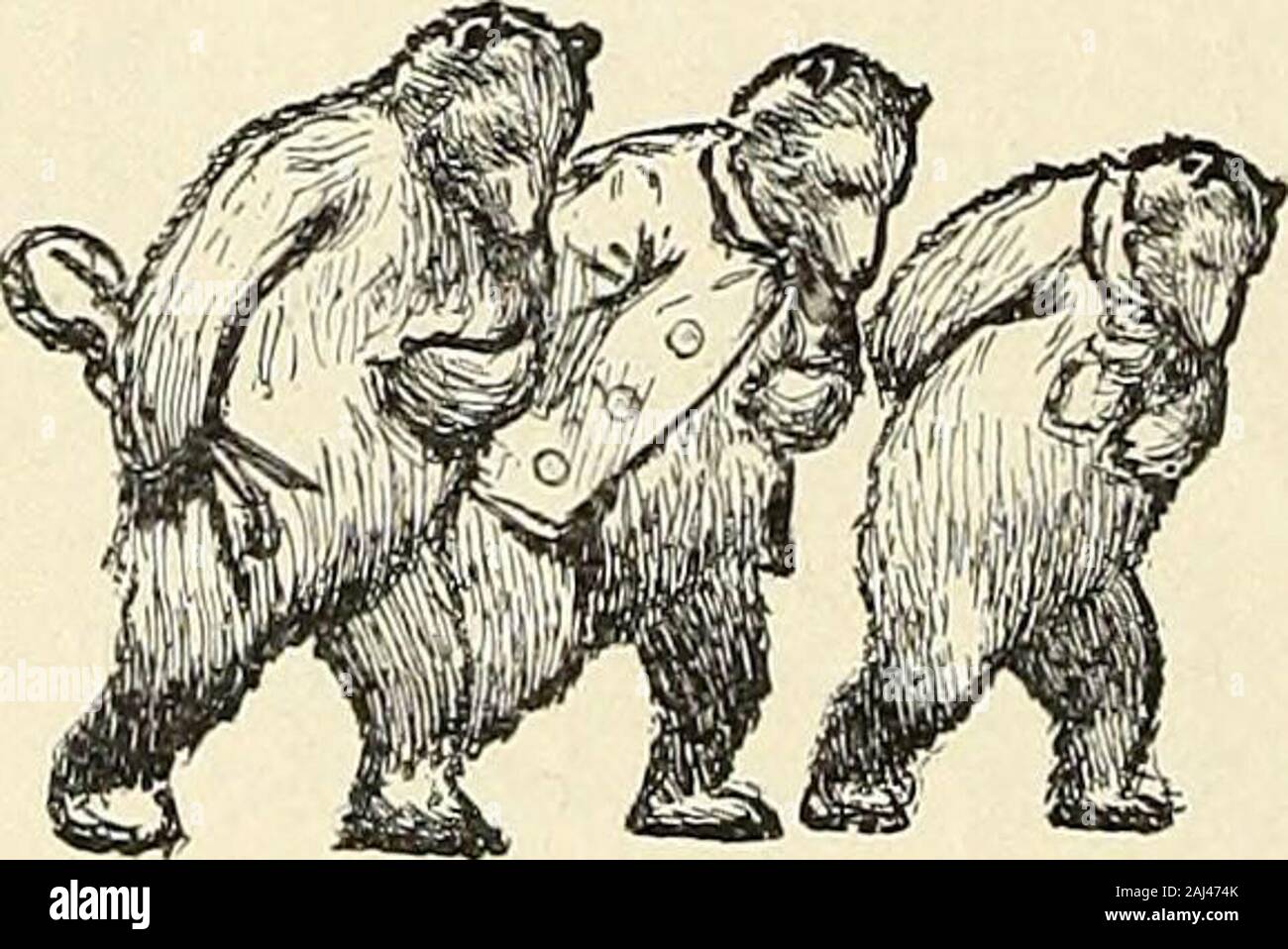 Three Little Bears High Resolution Stock Photography and Images - Alamy