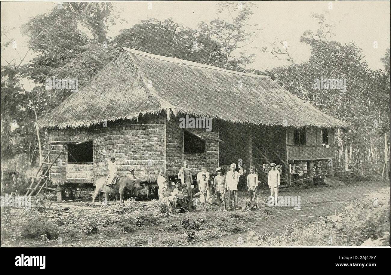 Fighting in the Philippines; authentic original photographs . The river ...