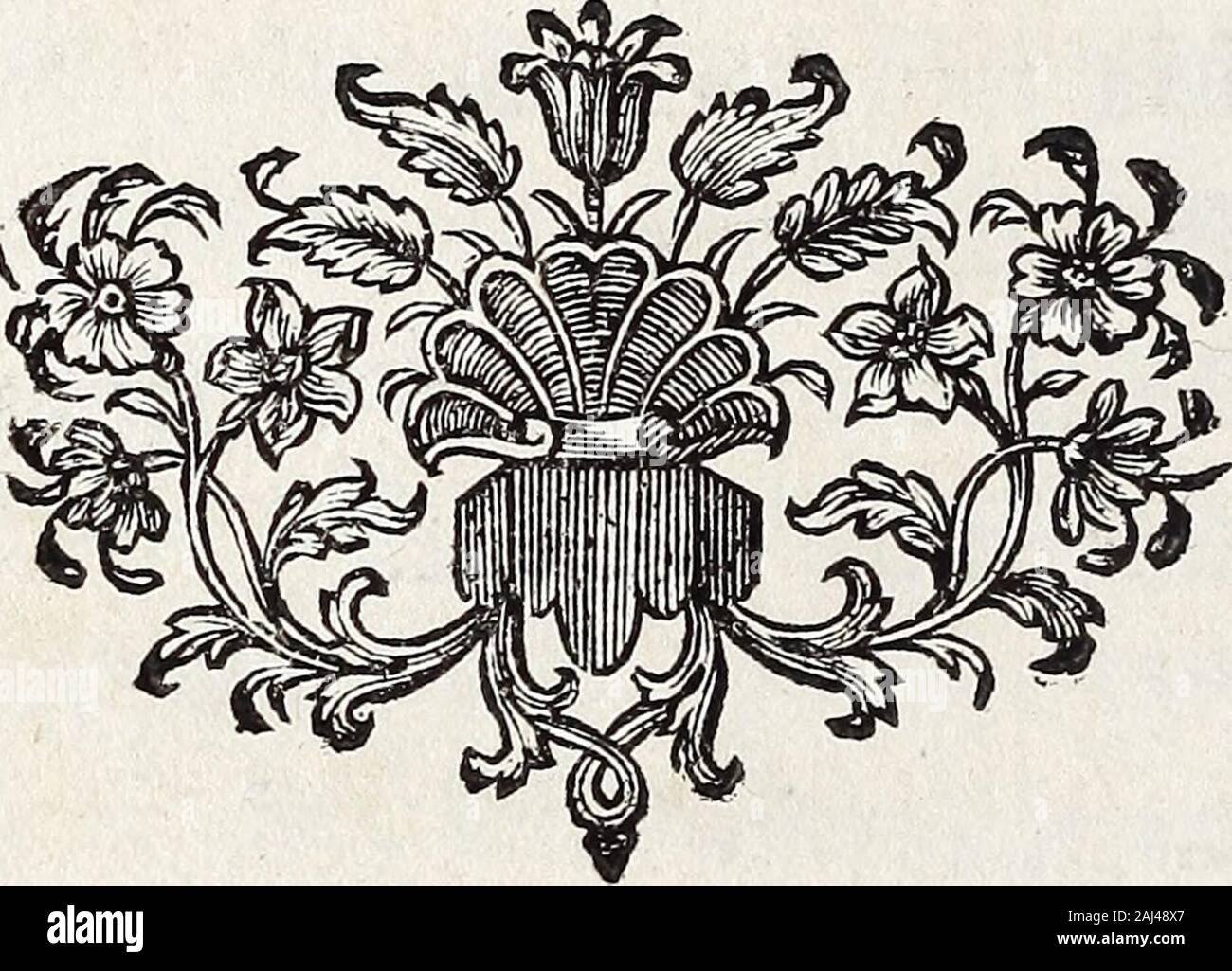 Gai font hi-res stock photography and images - Alamy