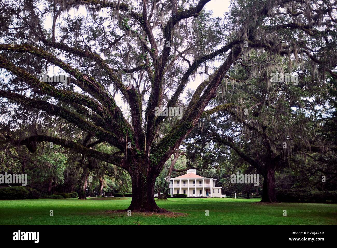Eden gardens state park hi-res stock photography and images - Alamy