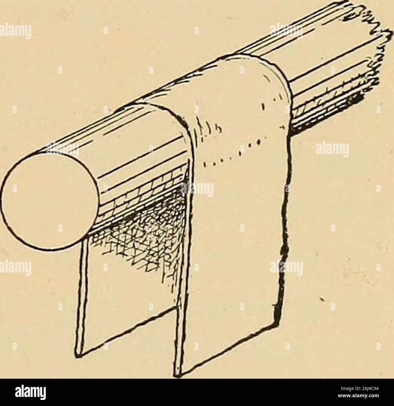 Lengthwise cut hi-res stock photography and images - Alamy