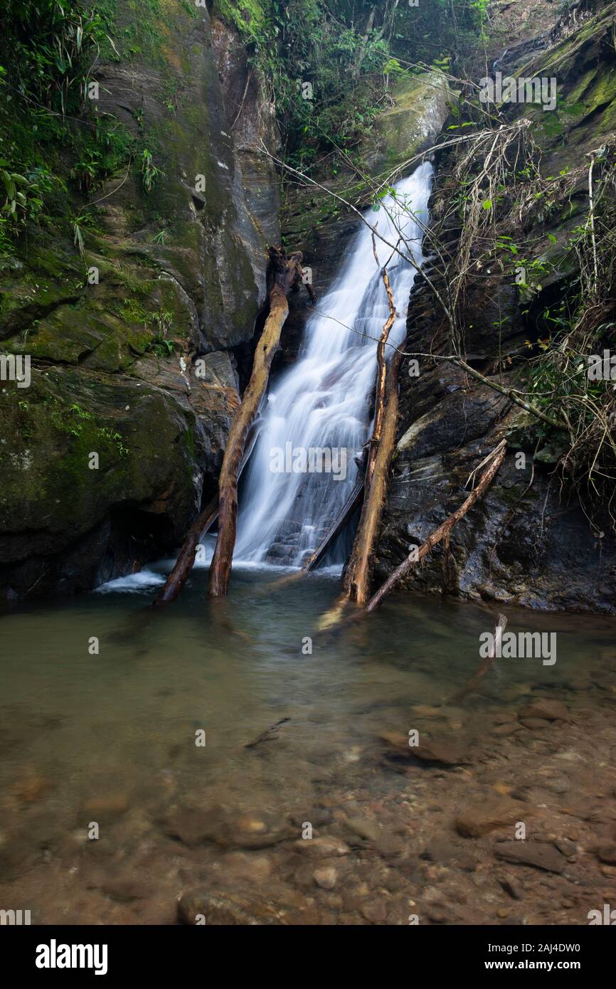 Waterfall in Tijuca Park, Rio de Janeiro, Brazil Stock Photo - Alamy