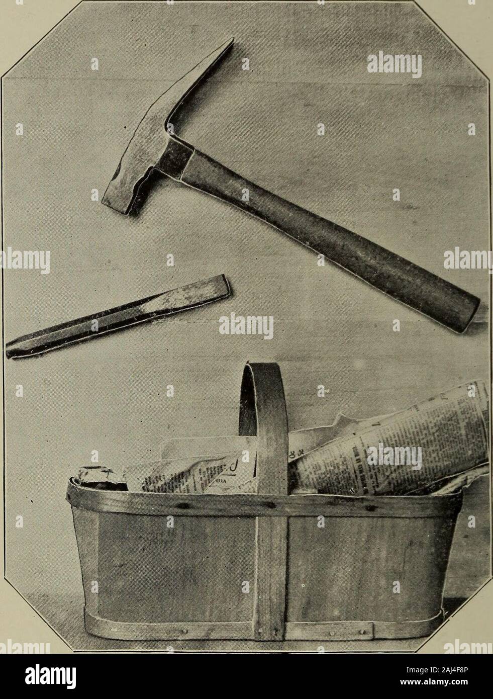 Devonian fossils new york hi-res stock photography and images - Alamy