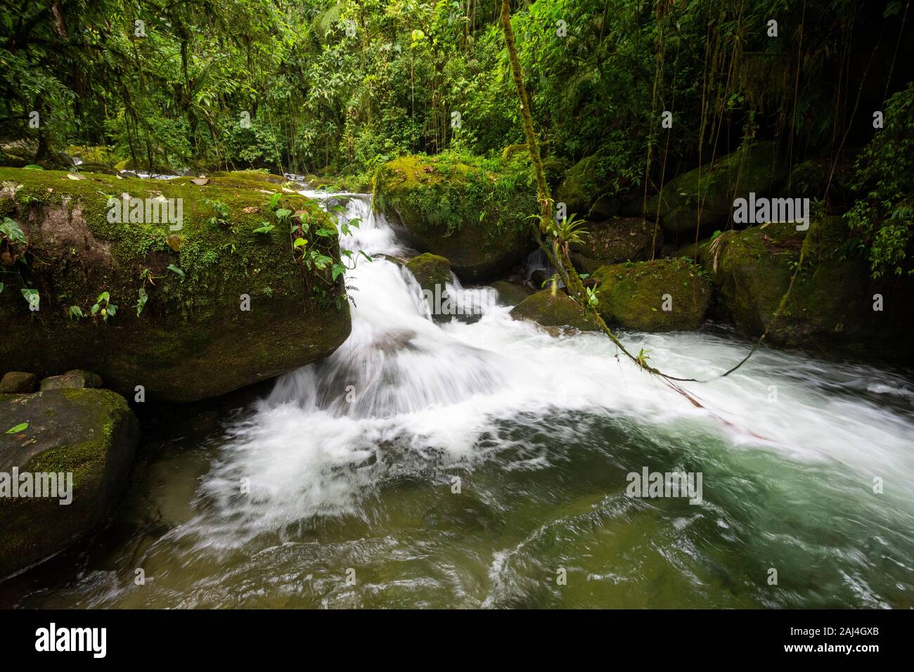 Beautiful view to green Atlantic Rainforest waterfall river in ...