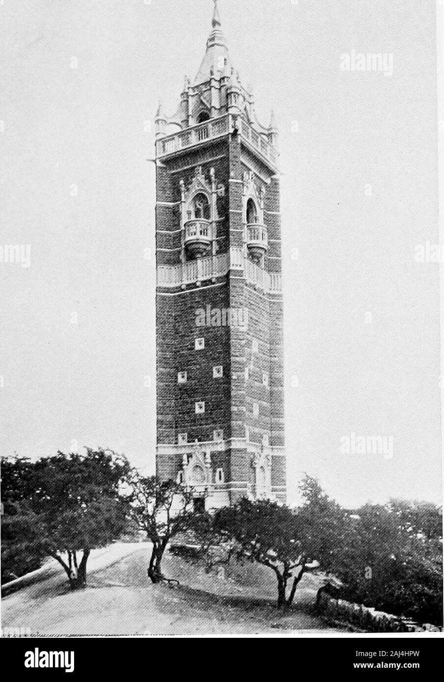 Truncated apex Black and White Stock Photos & Images - Alamy