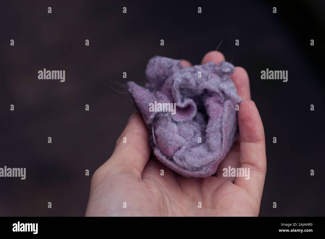 Fluff / lint on laundry after removing from clothing dryer isolated on ...