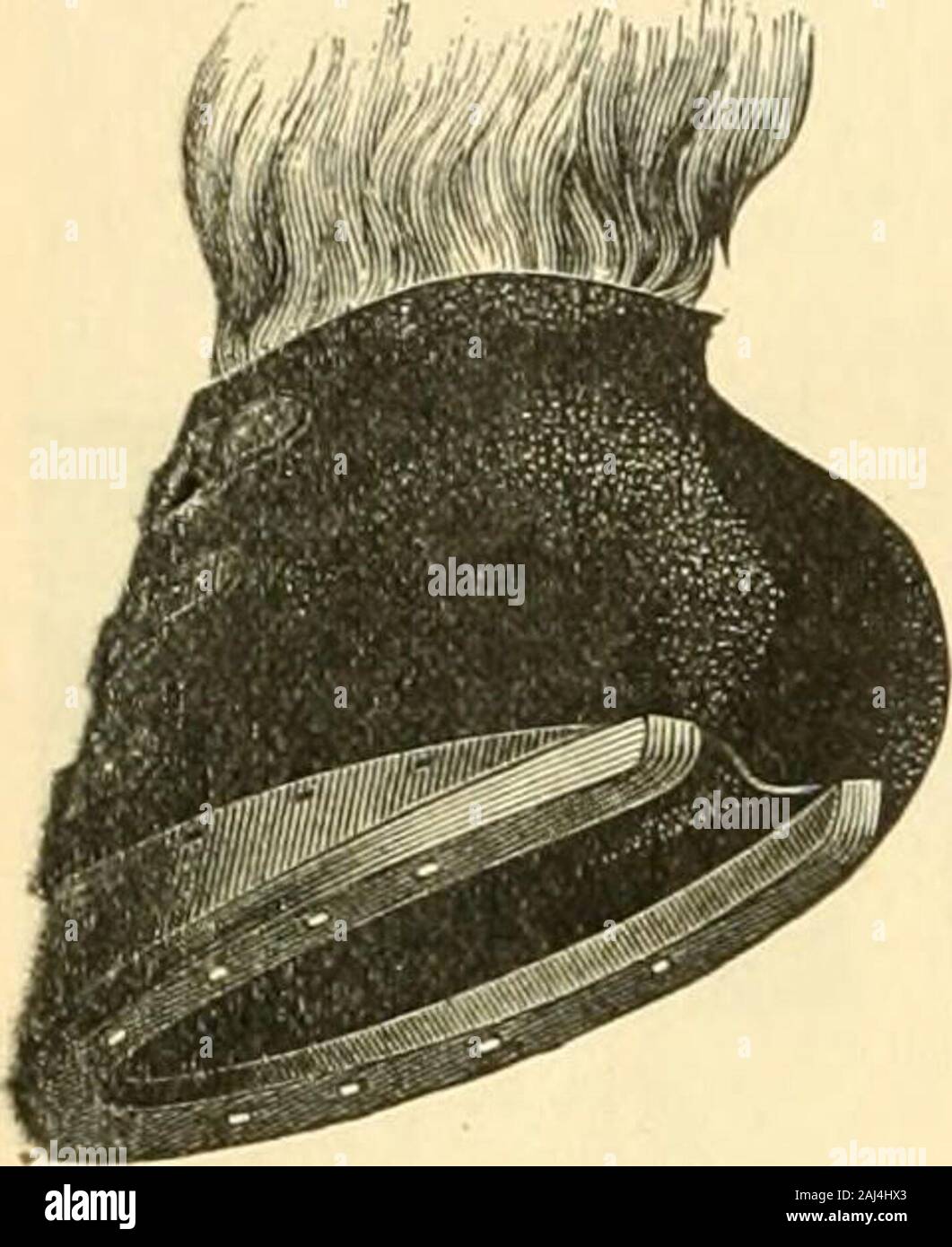 Turf goods : fine harness, saddles, trotting and running horse outfits ...