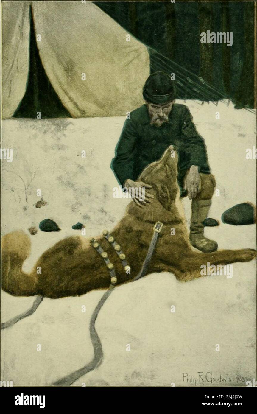 The call of the wild . ed the chaotic abandonment of hysteria.Thornton ...