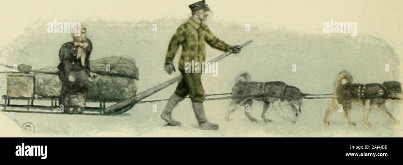 Hal Call Of The Wild