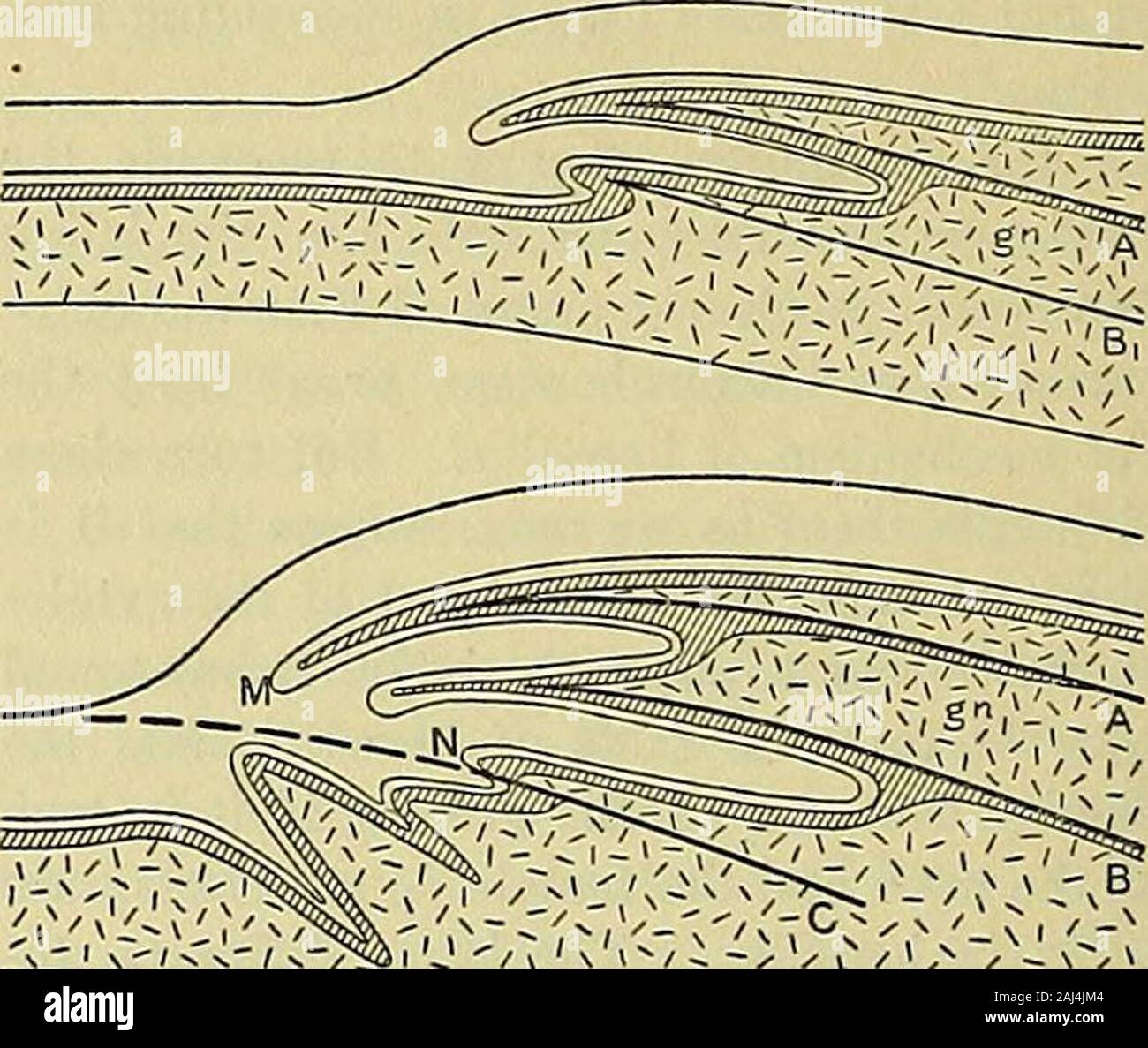 Recumbent folds hi-res stock photography and images - Alamy