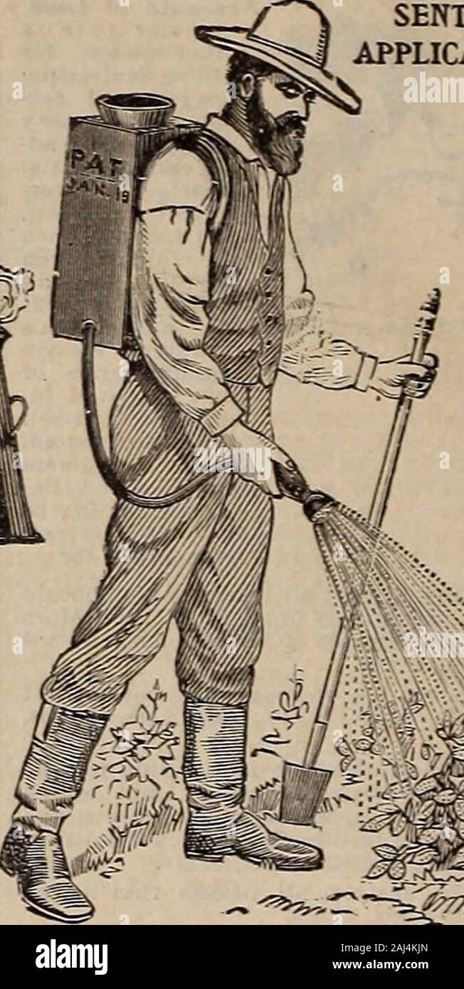 W.W Rawson & Co seedsmen / W.W Rawson & Co. . reenhouse. No. 1 holds ...