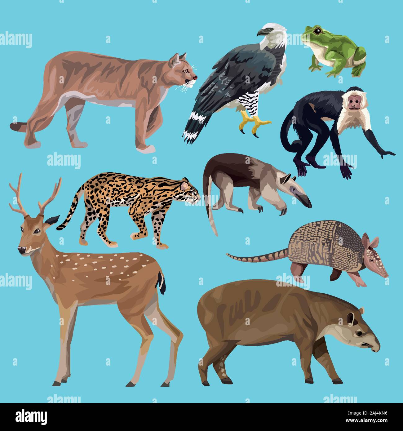 Antbear hi-res stock photography and images - Alamy