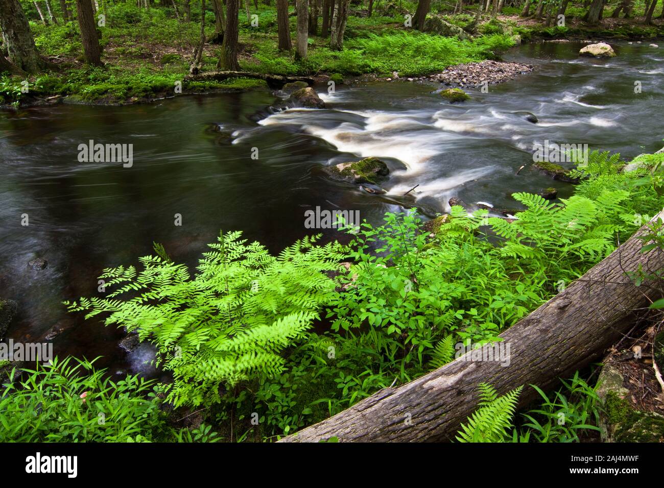 Tully lake massachusetts hi-res stock photography and images - Alamy