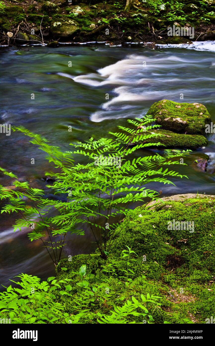Tully lake massachusetts hi-res stock photography and images - Alamy