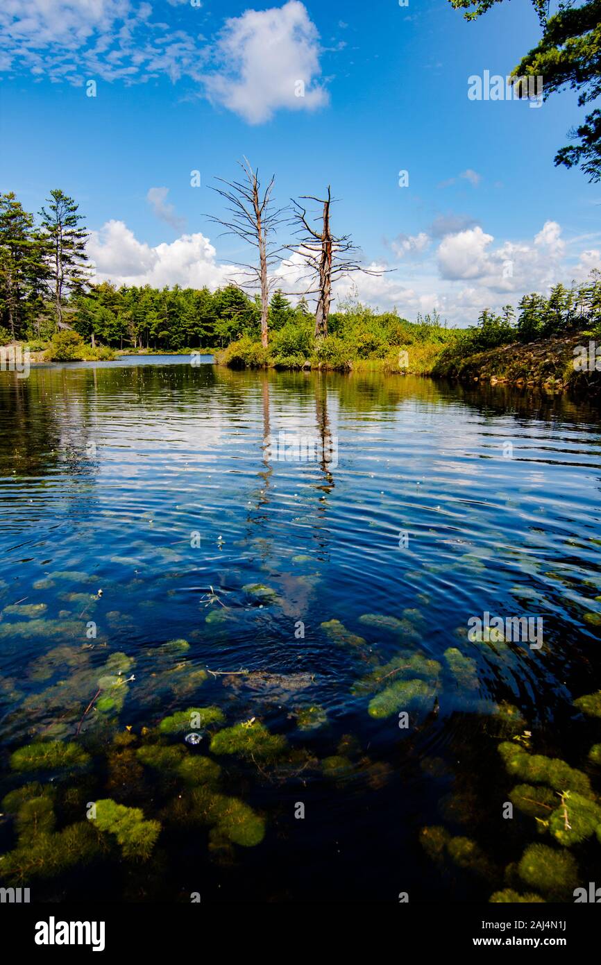 Tully lake massachusetts hi-res stock photography and images - Alamy