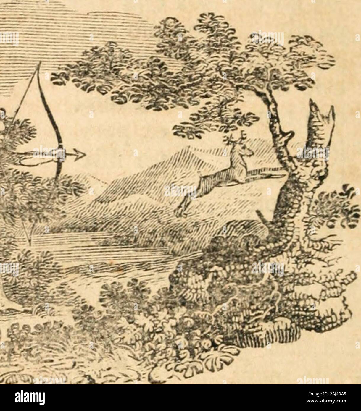 Mentex hi-res stock photography and images - Alamy