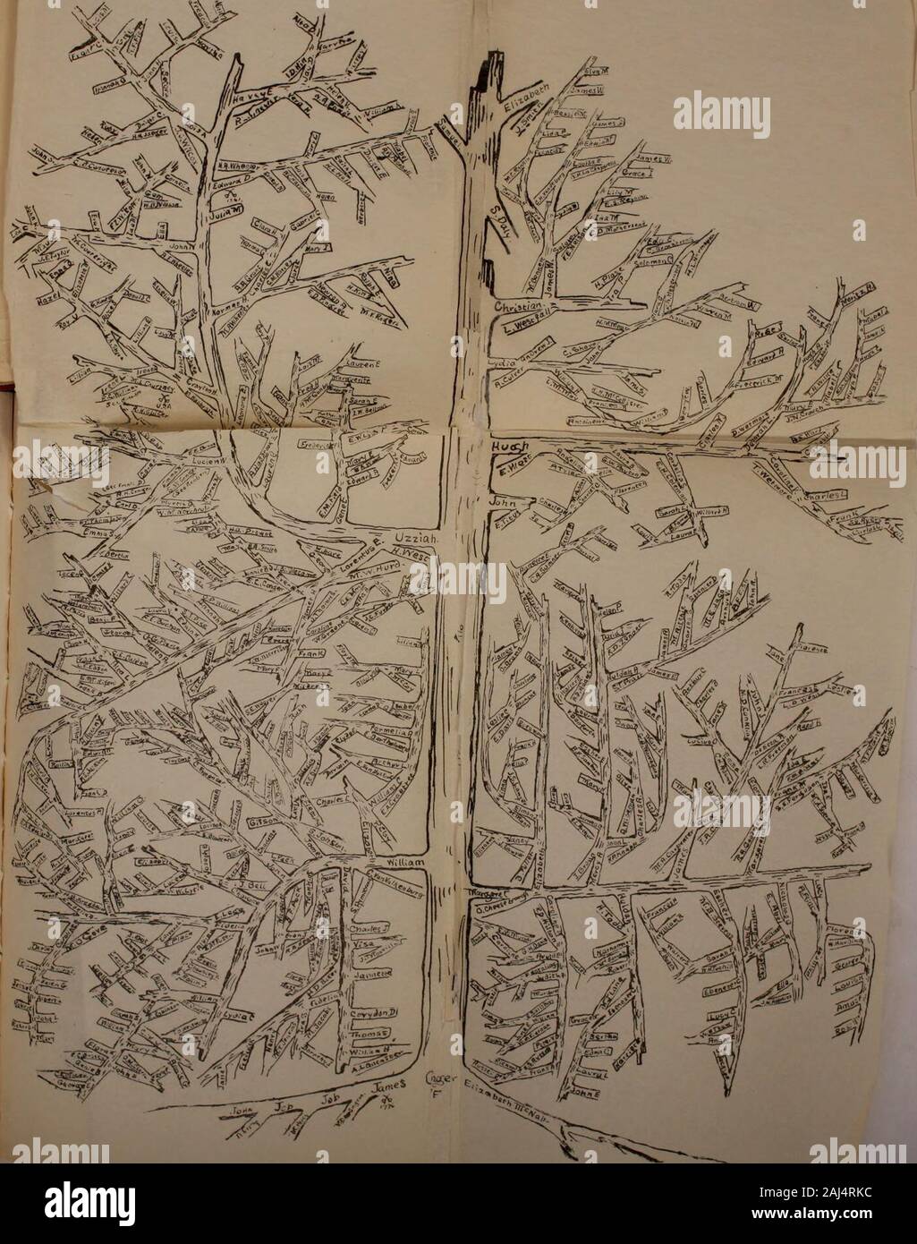 Bookidrecordofbirt hi-res stock photography and images - Alamy