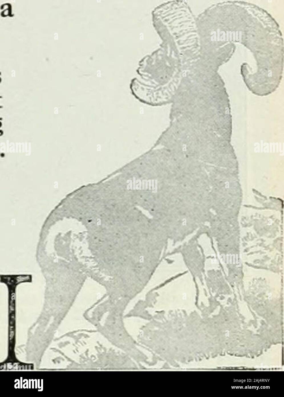 Long_range hi-res stock photography and images - Alamy