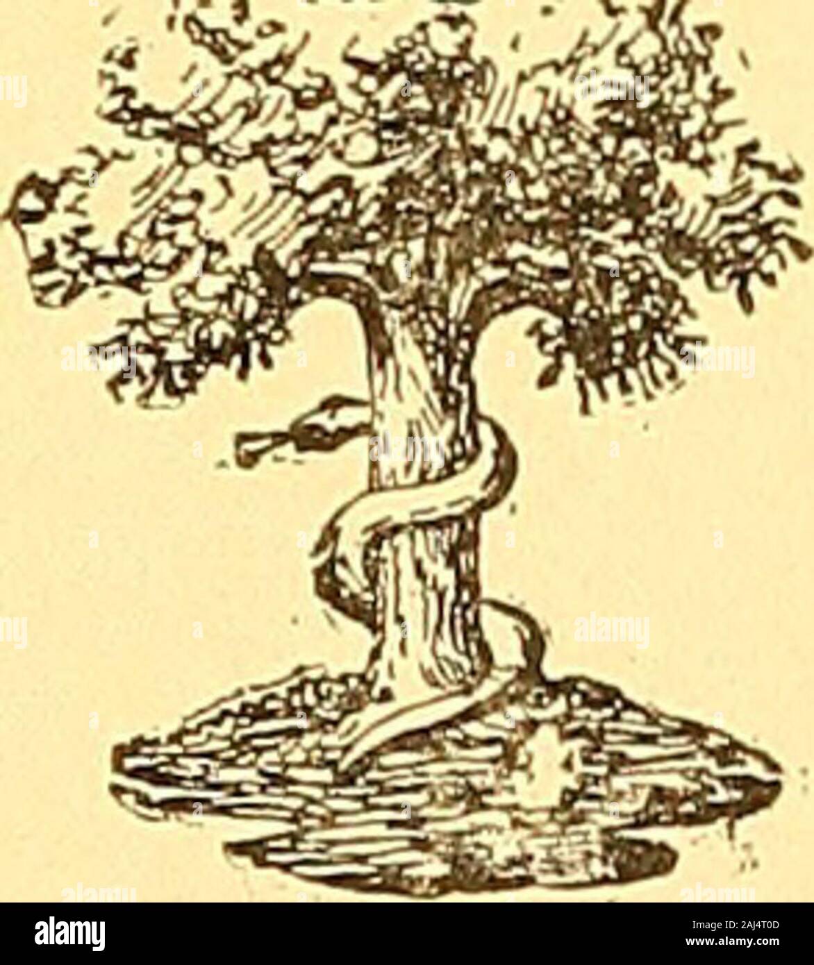 Pulse writer hi-res stock photography and images - Alamy