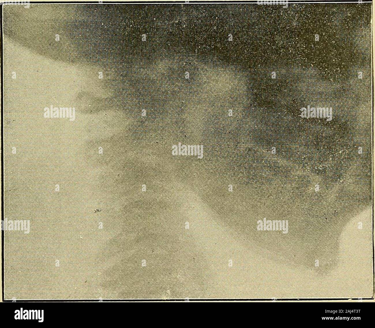 A manual of practical medical electricity : the Röntgen rays and Finsen ...