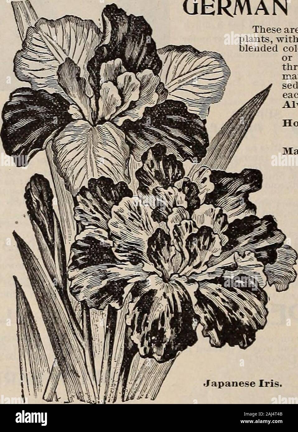 Pearly ponds hi-res stock photography and images - Alamy