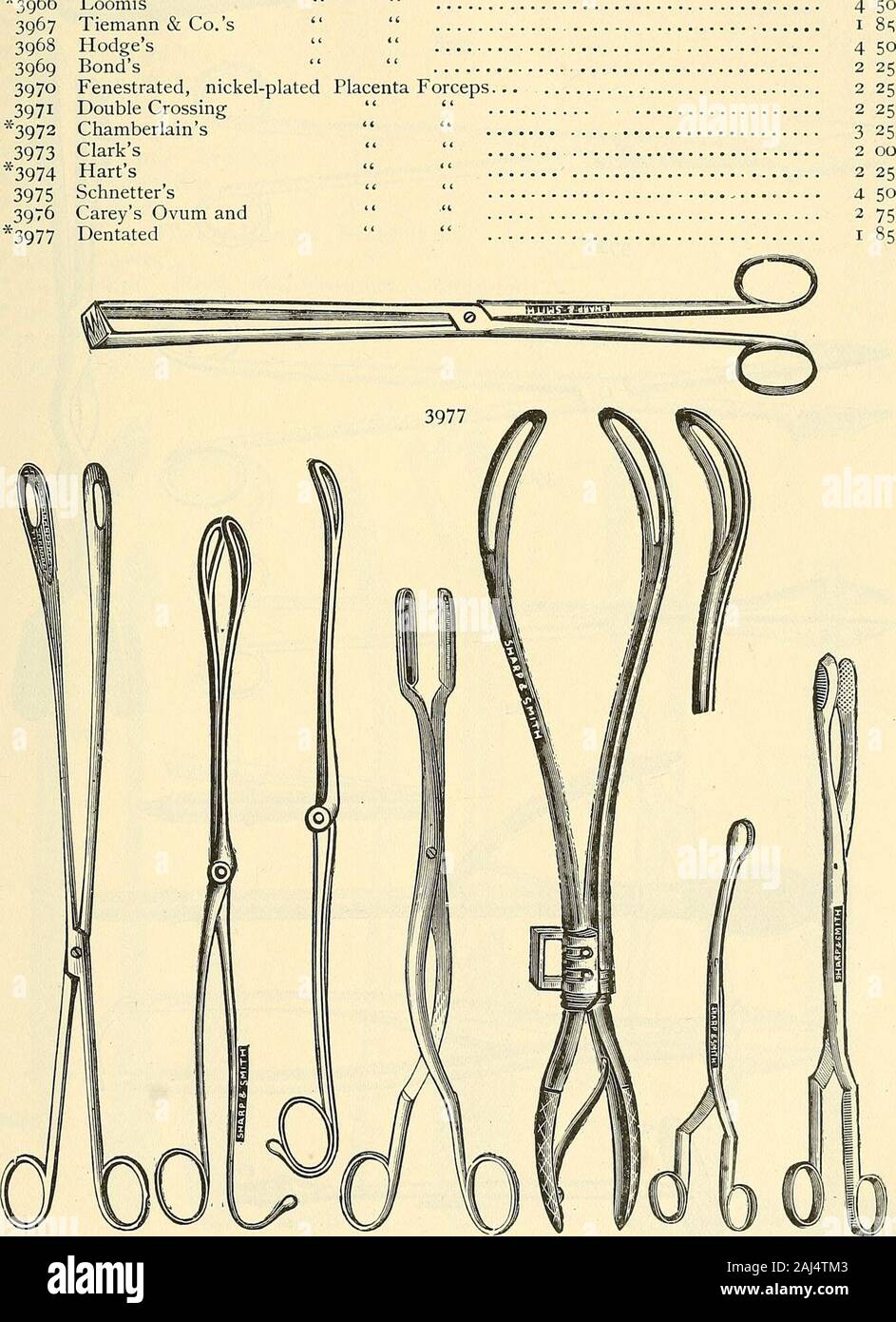 Double placenta hi-res stock photography and images - Alamy