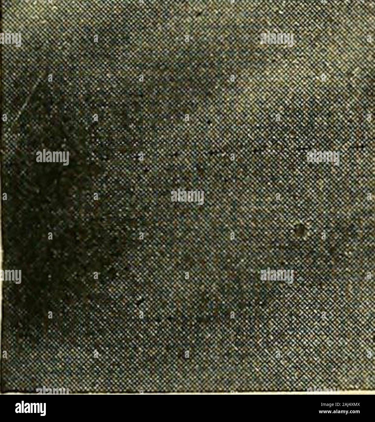 A manual of practical medical electricity : the Röntgen rays and Finsen ...