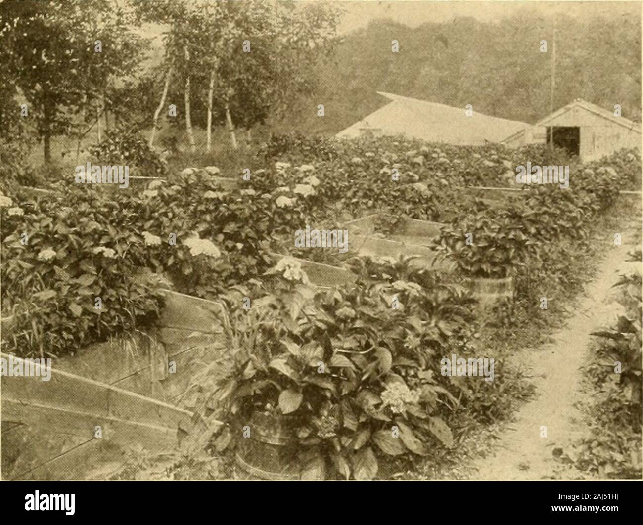 Manure pits hi-res stock photography and images - Alamy