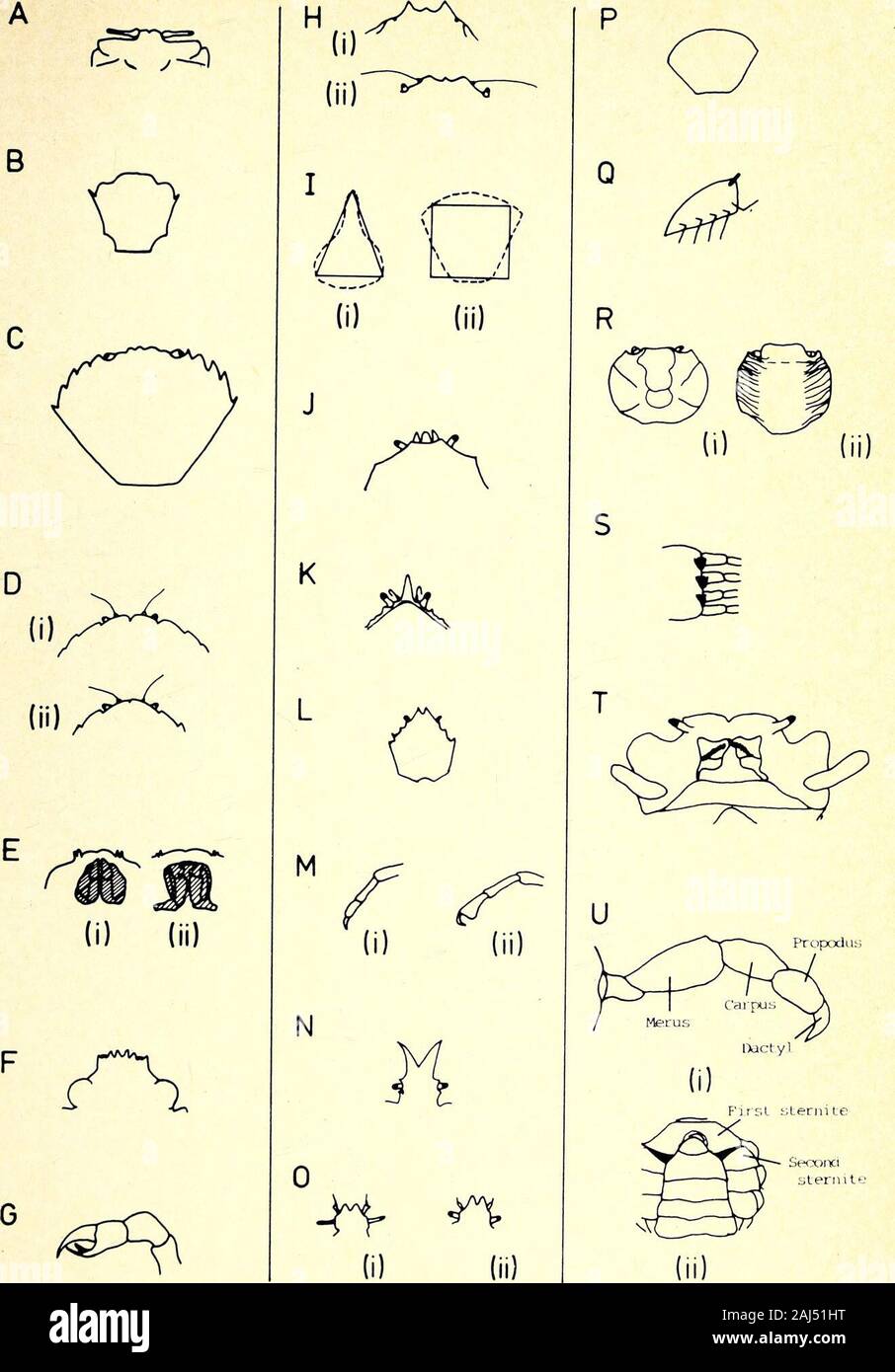 Equilateral quadrilateral hi-res stock photography and images - Alamy
